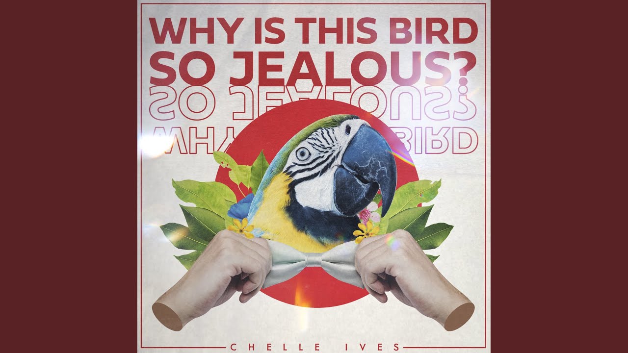 Why Is This Bird So Jealous? - YouTube