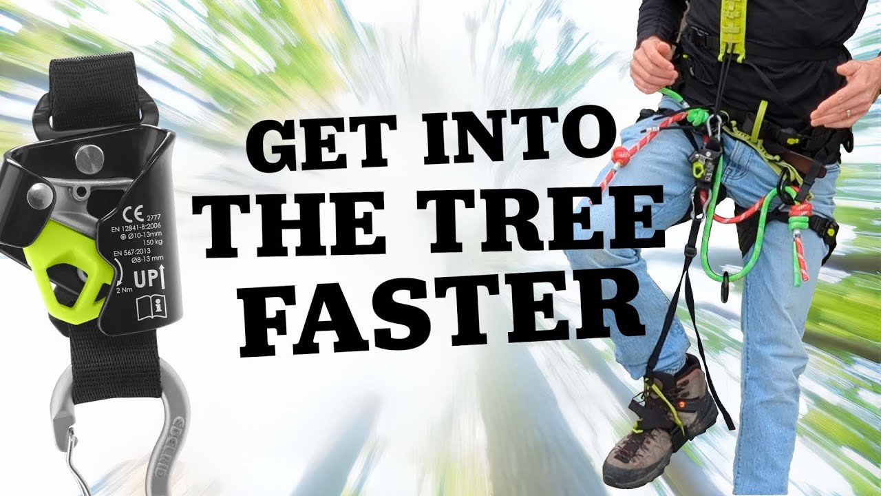 The Most Compact Knee Ascender - EDELRID Knee Cruiser - TreeStuff ...
