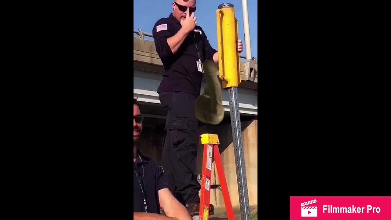 Random snaps - YouTube