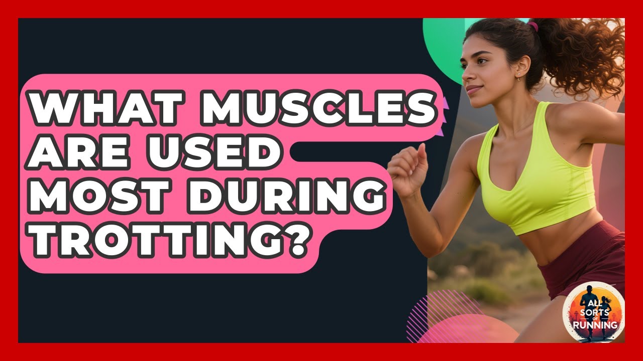 What Muscles Are Used Most During Trotting? - All Sorts Of Running ...