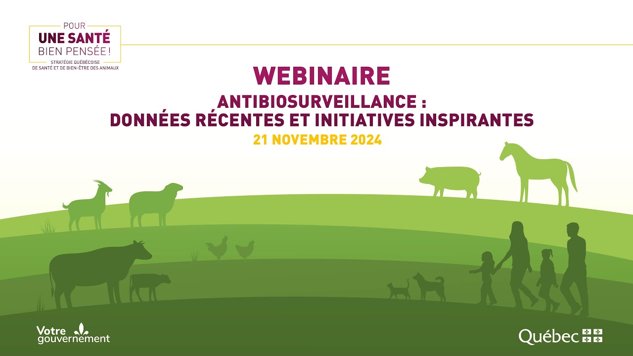 Programme québécois d’antibiosurveillance vétérinaire : présentation ...