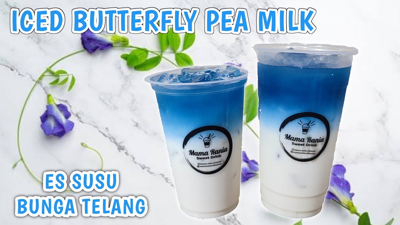 BUTTERFLY PEA MILK ICE | ES SUSU BUNGA TELANG | IDE JUALAN MINUMAN ...
