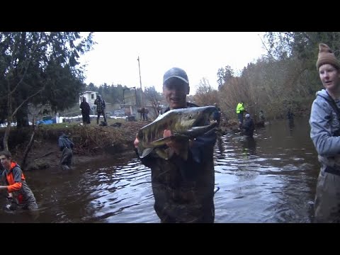 Minter Creek Chum Fishing - YouTube