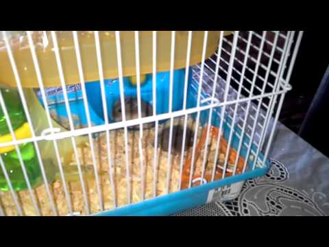 Di tangkap ketika asyik beromen