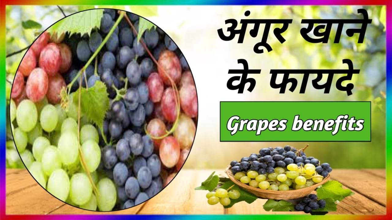 Angur khane ke fayde | अंगूर खाने के फायदे | Angur ke pramukh ghatak ...