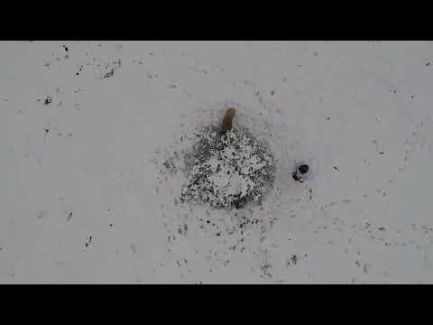 yer alaska mıdıgo me le dağları