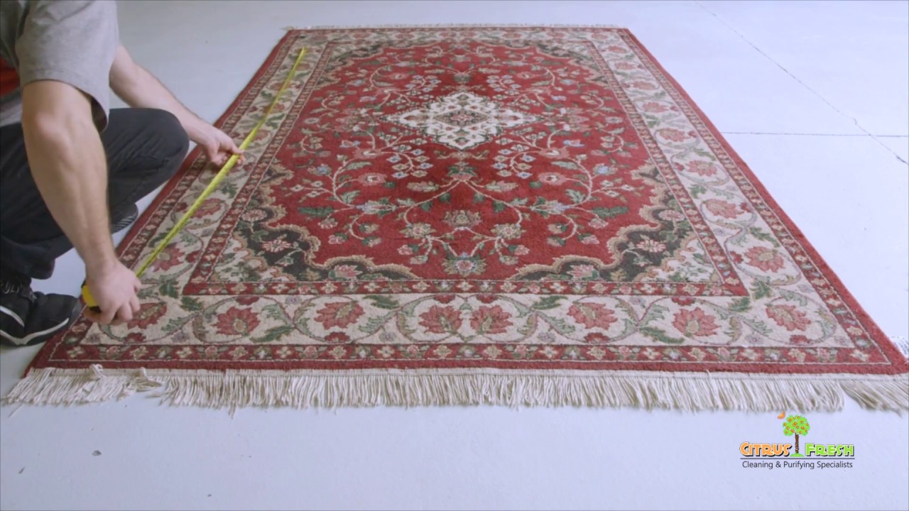Area Rug Cleaning Process in Charleston, SC - YouTube
