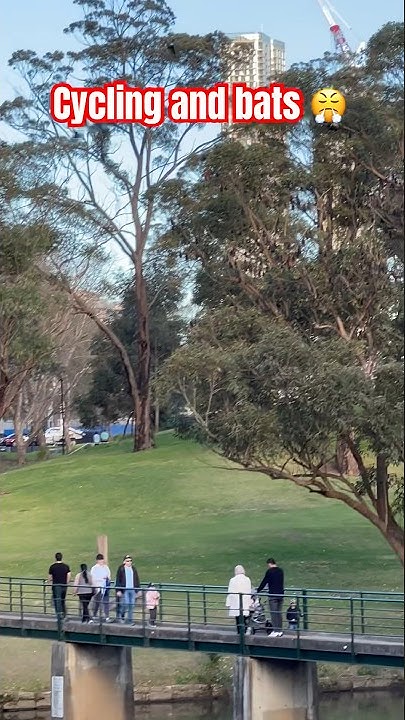 Cycling And Bats 😤😤😤 Shorts Trending Australia Sydney Beach Morning Viral Foryou Sad