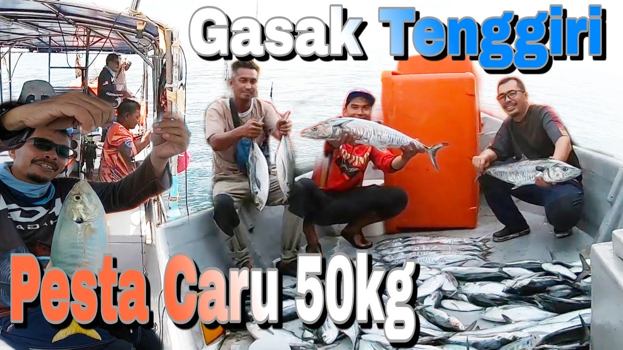 Mancing Tuas Abg Yazid Pesta Ikan Cencaru Kuda 50kg Gasak Tenggiri ...