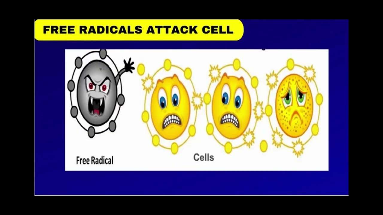 Miira Cell+ Plant-Based Stem Cell Therapy - YouTube