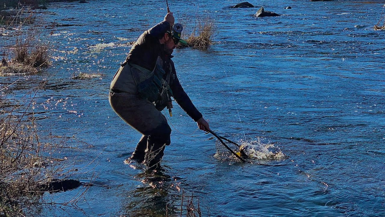 Andy Fly Fishing - YouTube