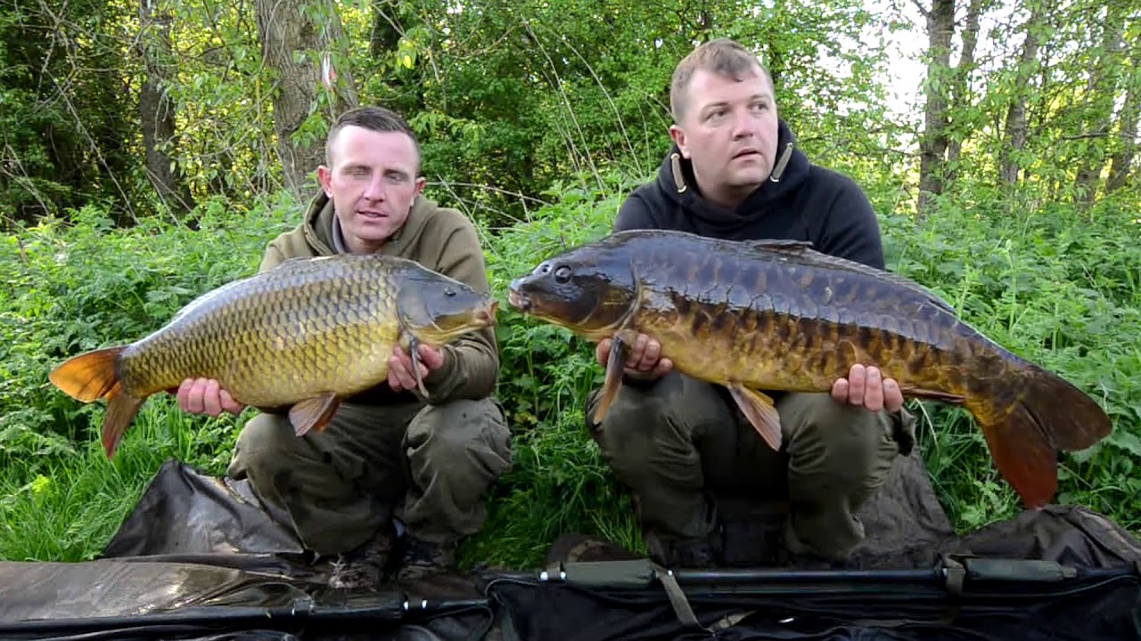 Catch carp like a world champion 🏆|| Carp Fishing 2018 - YouTube