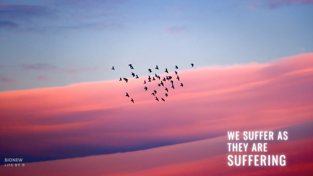 Altered Migration Patterns | The effects of climate change on wildlife ...