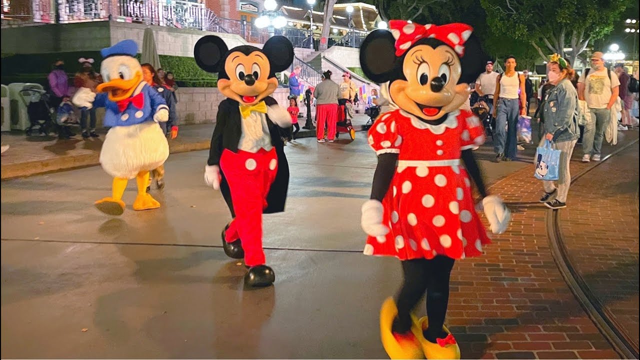 🔴 LIVE Busy Sunday Night At Disneyland! Turtle Talk With Crush ...