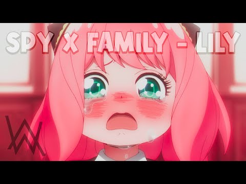 Spy X Family「AMV」- Lily | Alan Walker