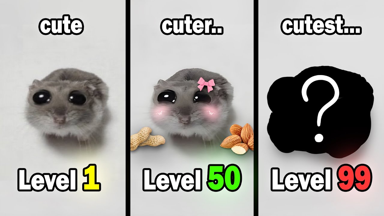 Sad Hamster Becomes Cuter | Sad Hamster Violin Meme but it's getting ...