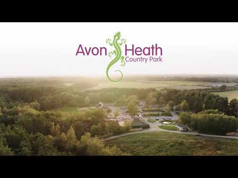 Avon Heath Country Park - YouTube