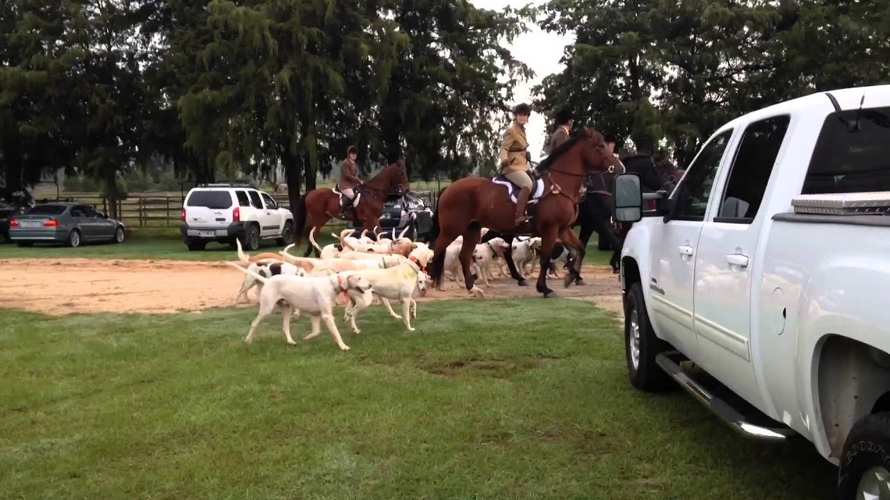 Southeast Junior Field Hunter Trial - YouTube