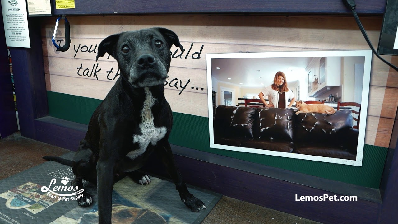 Mike Lemos COVID 19 Message - YouTube