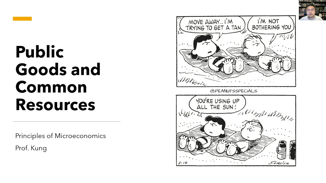 Lecture 10: Public Goods and Common Resources - YouTube