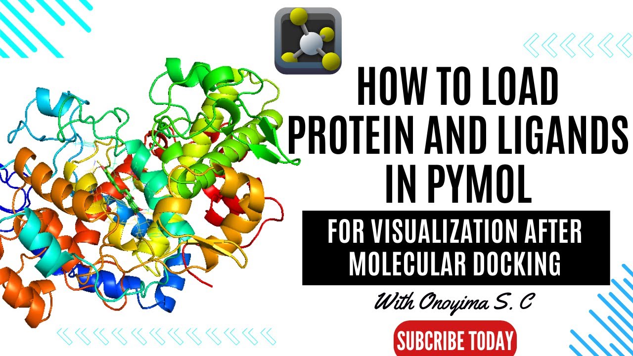 Importing proteins and ligands into pymol for post docking analysis ...
