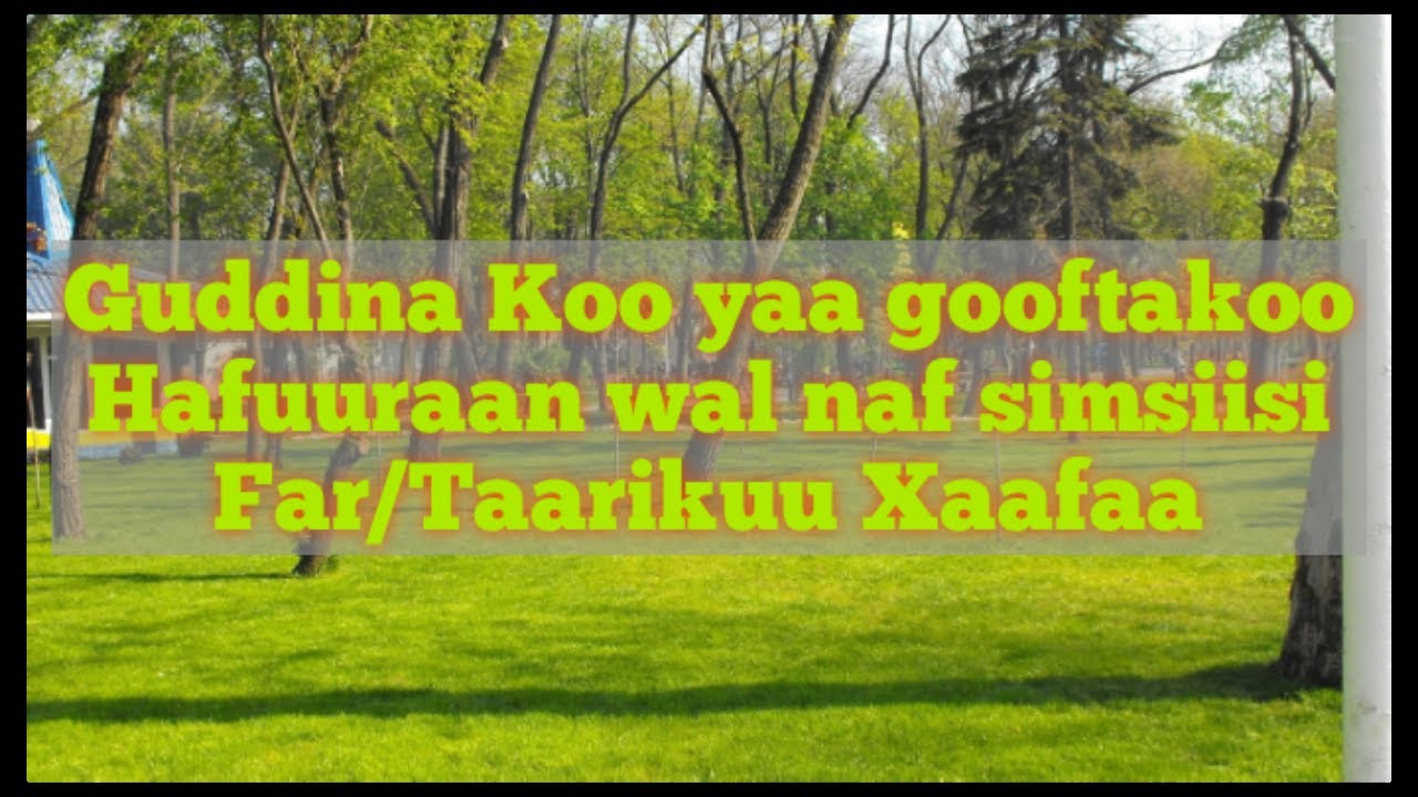 Taarikuu Xaafaa - YouTube