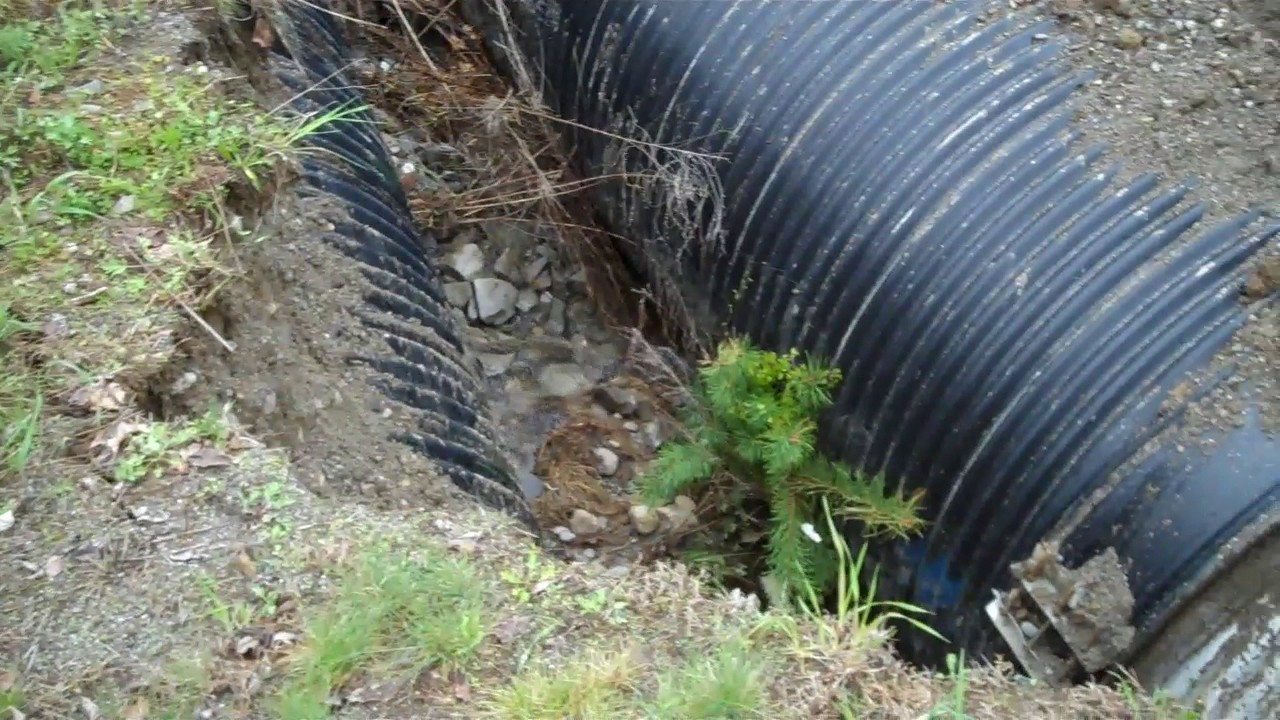 Beavers Lifting Large Culverts, Day 5 - YouTube