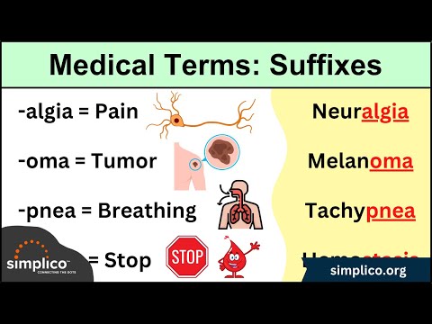 What Is The Suffix Of Colonoscopy
