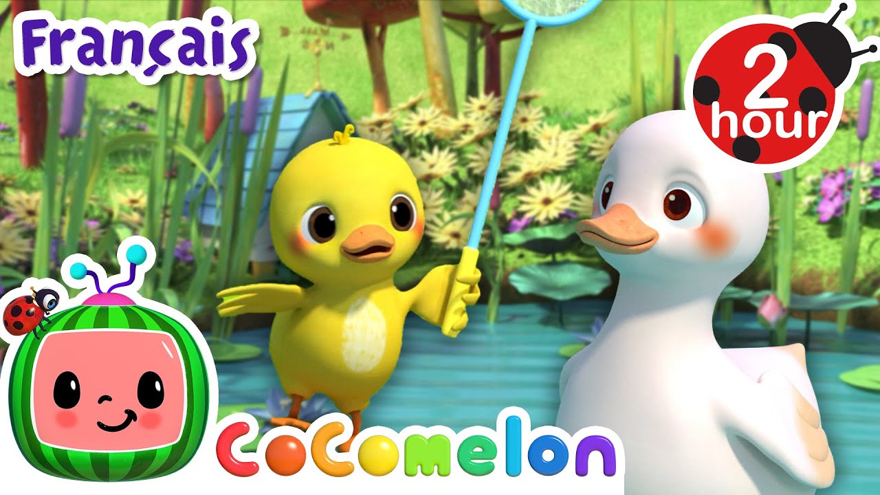 Cinq petits canards | Chansons pour Bébés | CoComelon Le coin des ...