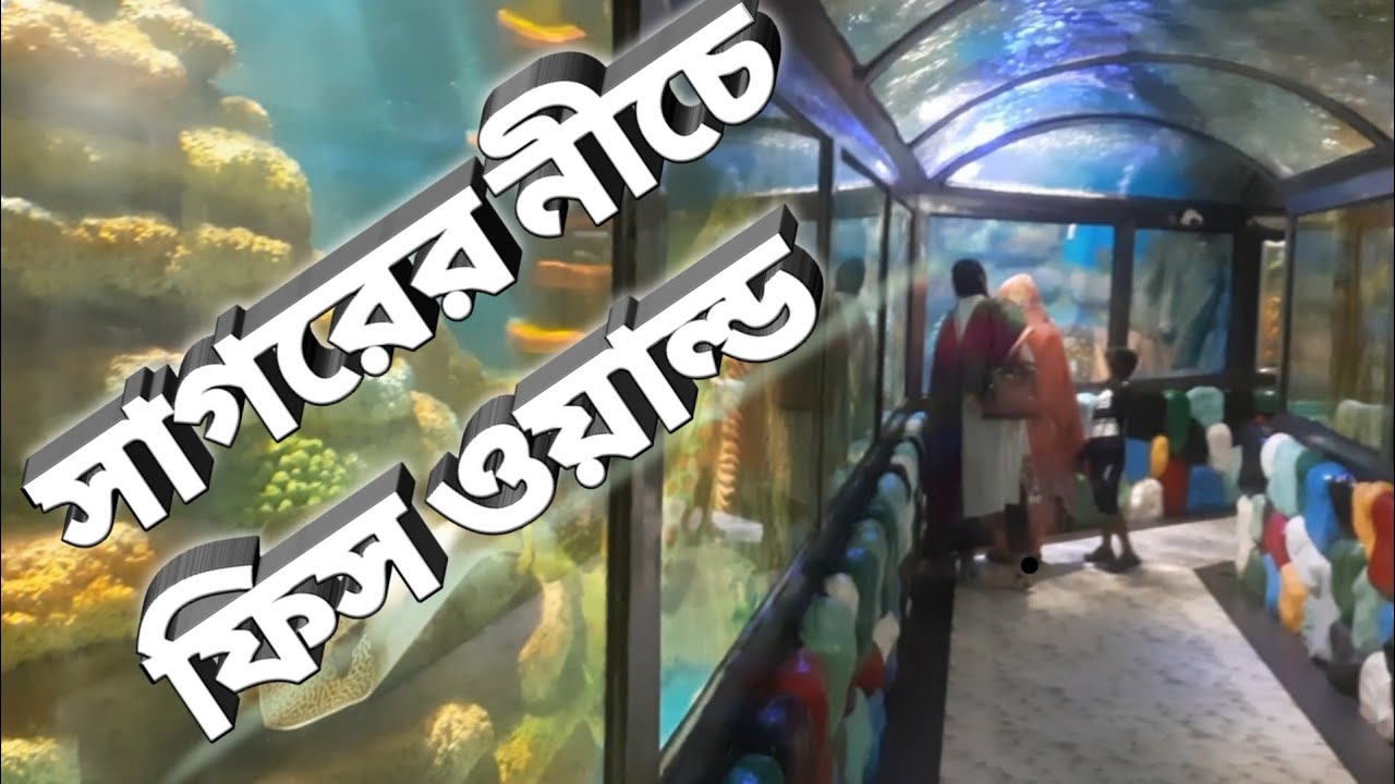 Radiant Fish World Cox's Bazar | Radiant Fish World | রেডিয়েন্ট ফিস ...