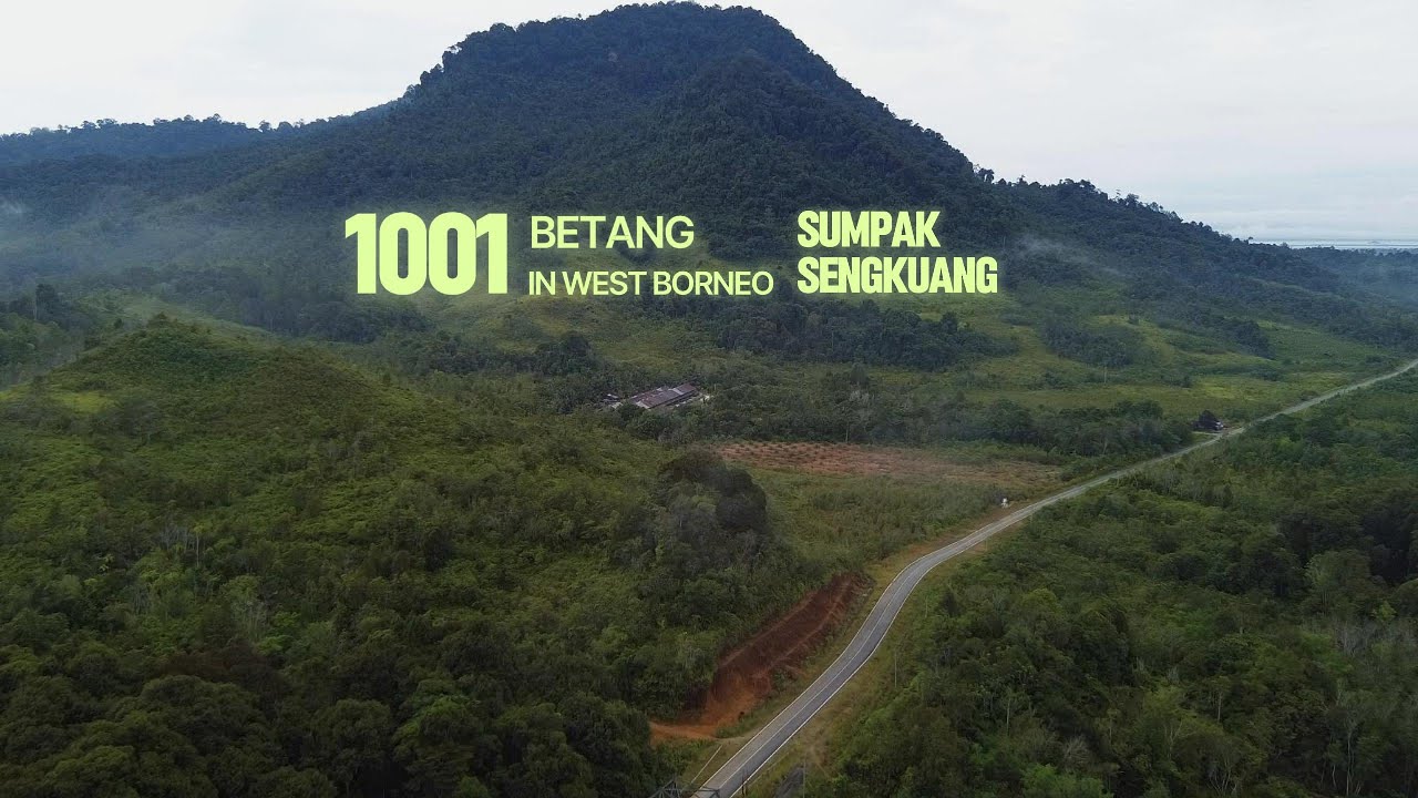1001 BETANG IN WEST BORNEO ( SUMPAK SENGKUANG ) DRONE VIEW - YouTube