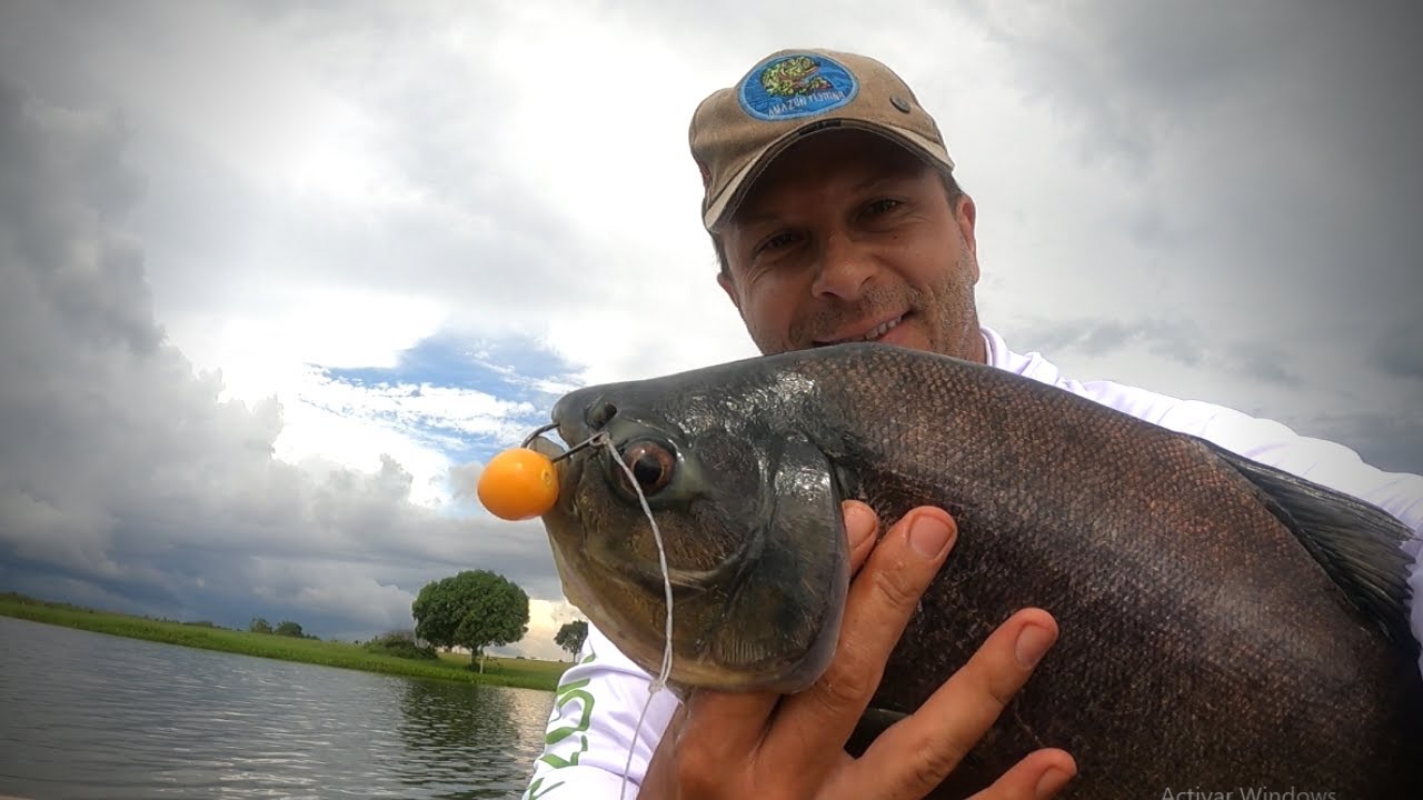 🍒 CURSO DE PESCA DEPORTIVA , COMO PESCAR CON FRUTA - YouTube