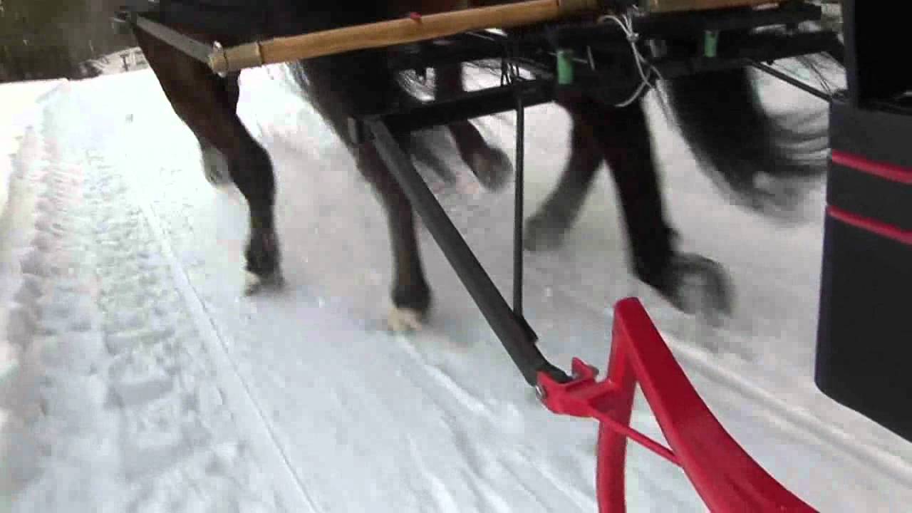 Sleigh Ride sung by Andy Williams (HD) - YouTube