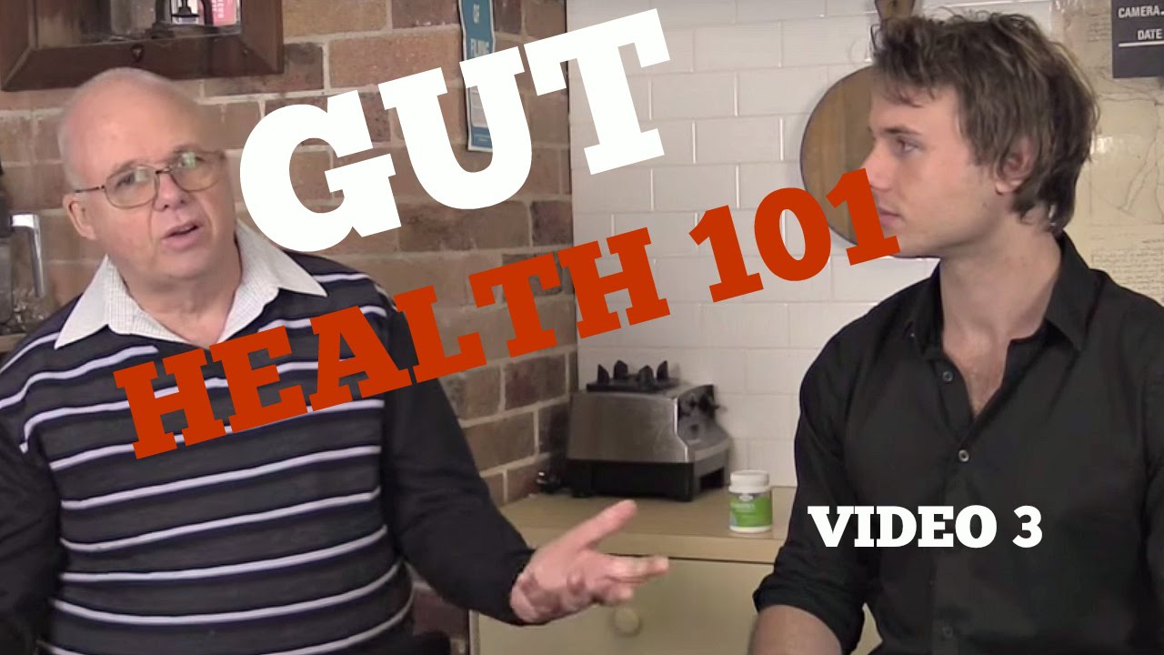 Gut Health 101 - VIDEO 3 - Pro and Prebiotics with John Ellerman - YouTube