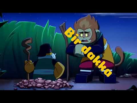 MONKEY FAMİLY-MAYMUN AİLESİ