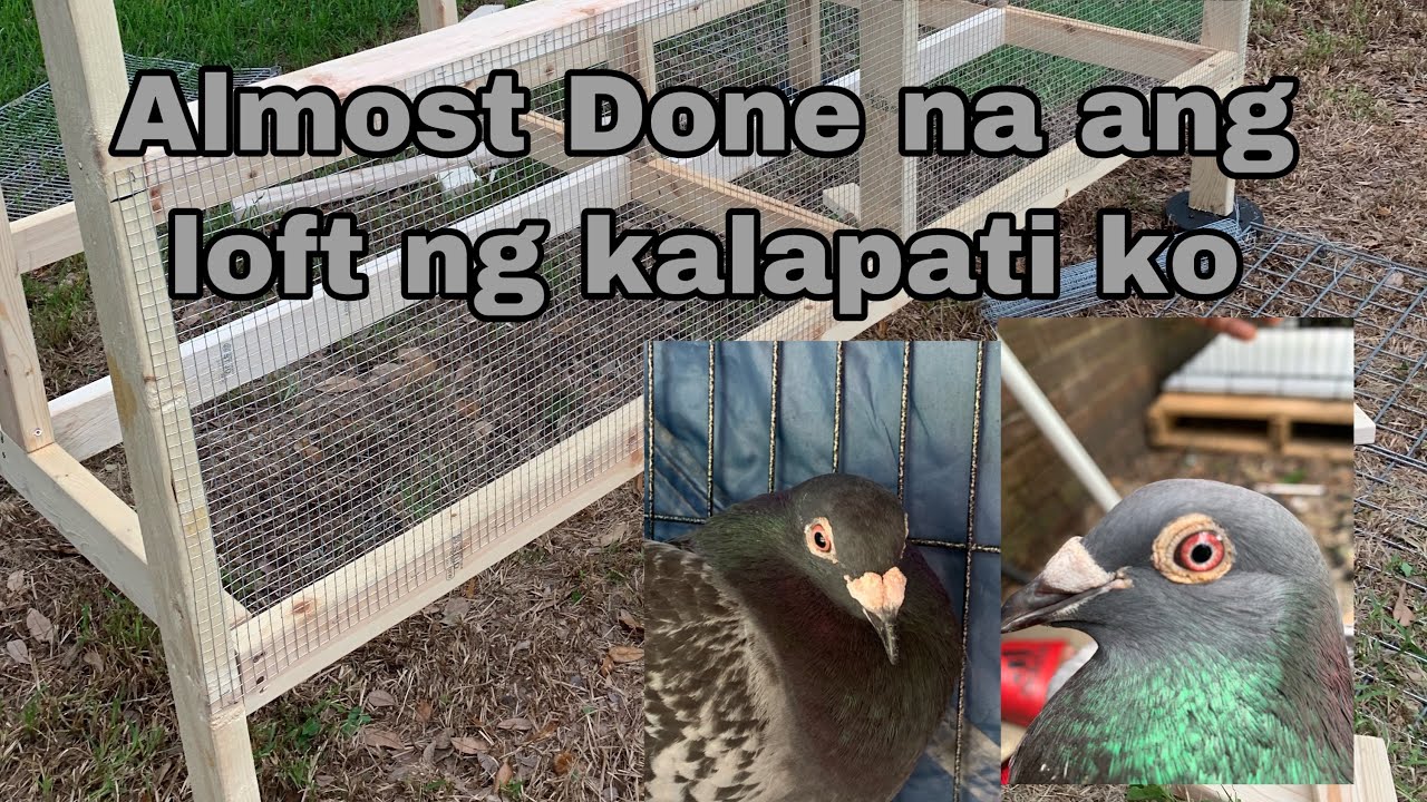 Malapit na matapos loft ng Kalapati ko - pensacola Florida - YouTube