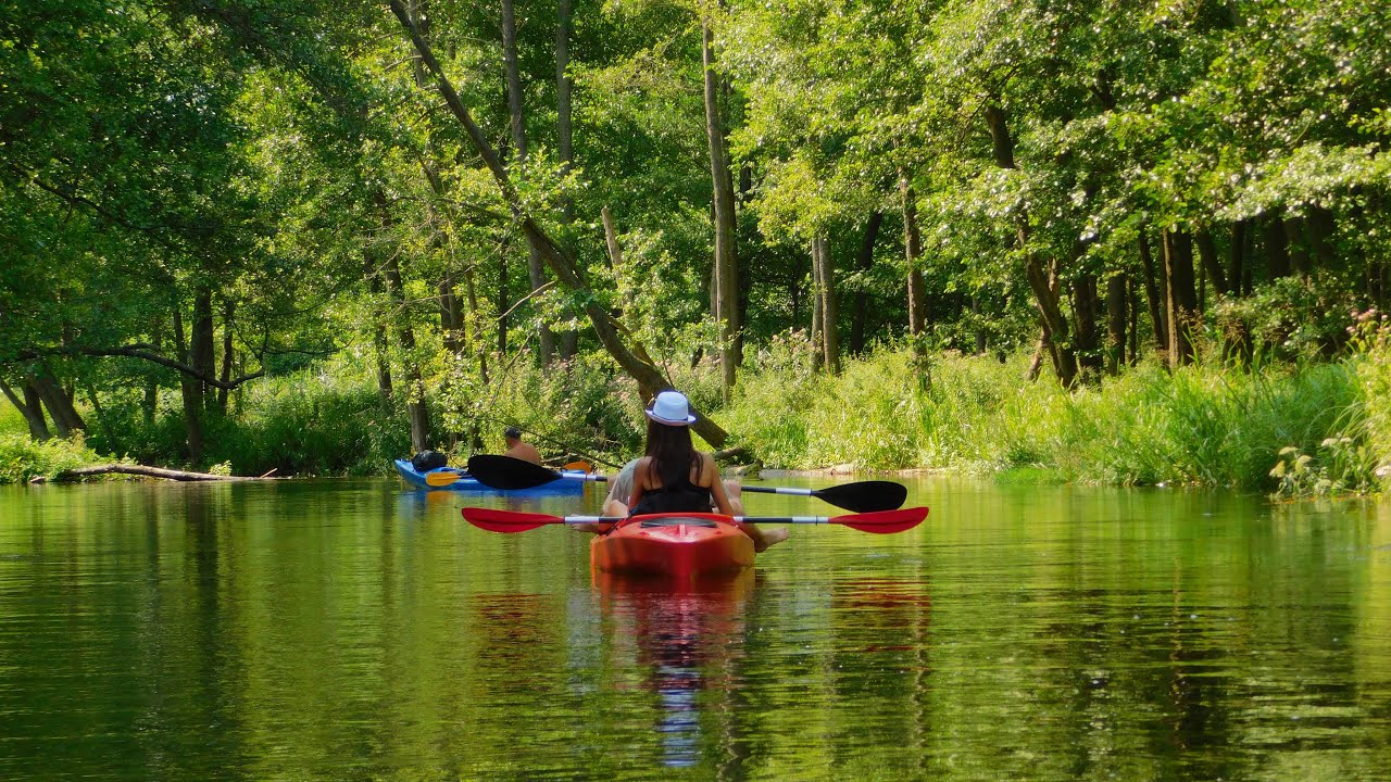 Spływ kajakowy rzeką Wdą odcinek Wdecki Młyn - Błędno, Bory Tucholskie ...