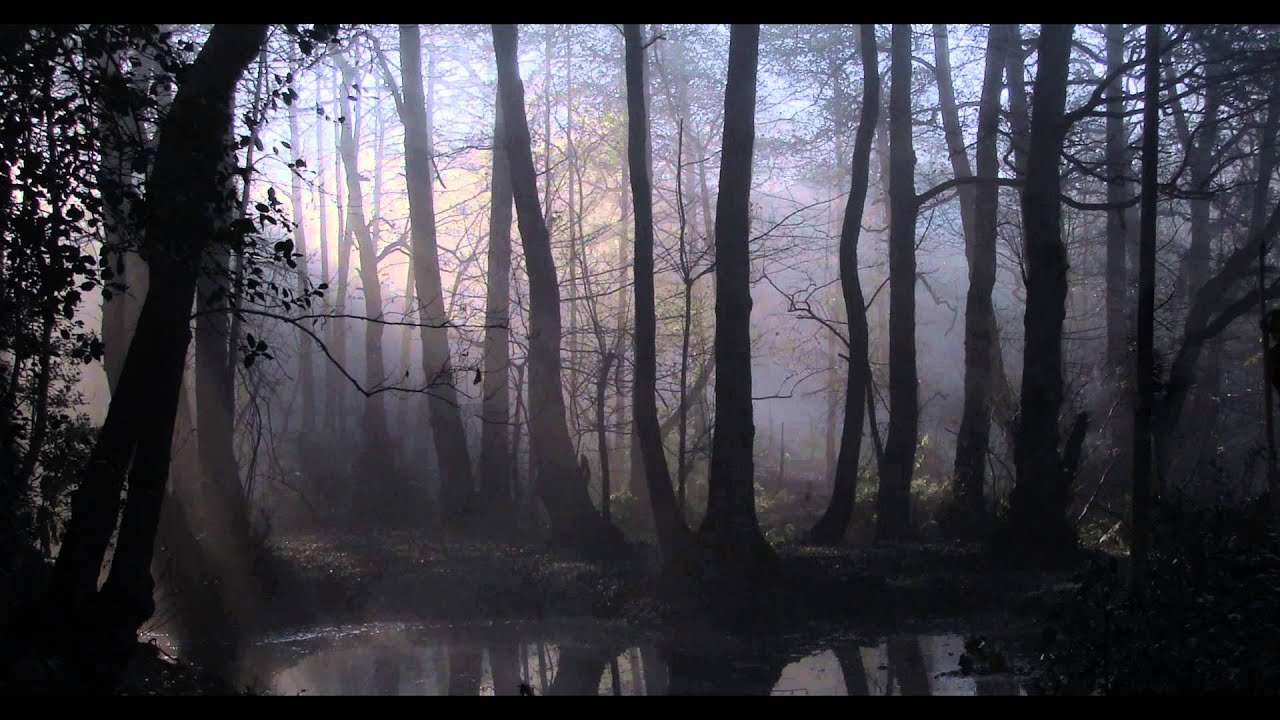 Mumbling Voices - YouTube