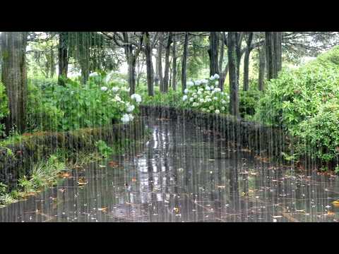 Yürüyüş yolunda yağmur sesleriyle stresi azaltan ve rahatlık sağlayan beyaz gürültü