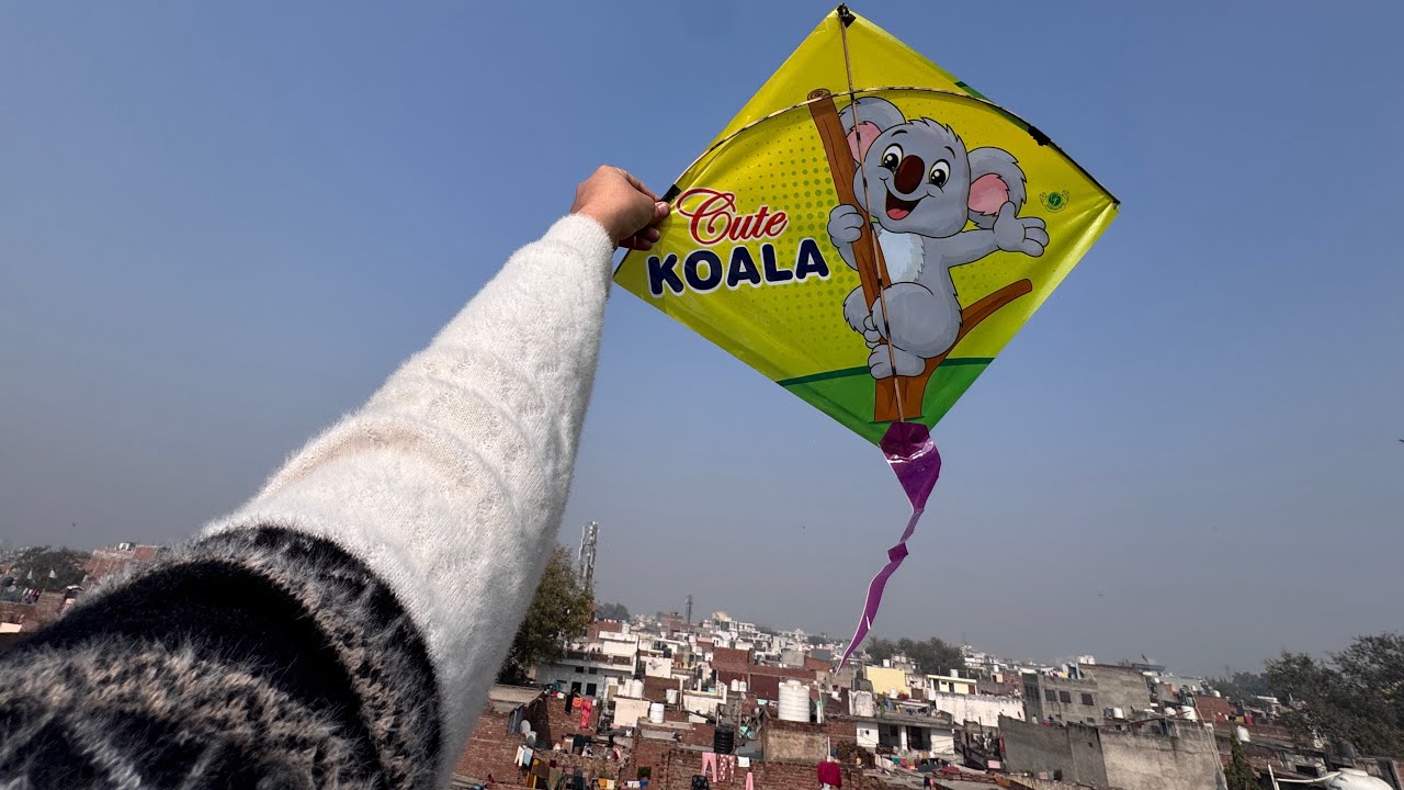 Kite loot aaj looti maine apne chote bhai ke sath 12 patang 😍🪁 - YouTube