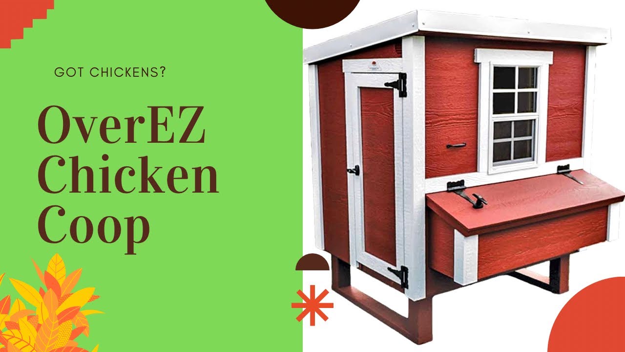 OverEZ CHICKEN COOP REVIEW 🐔 #chickencoop #chickens #diy - YouTube