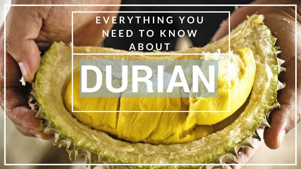 Everything You Need to Know About Durian - YouTube