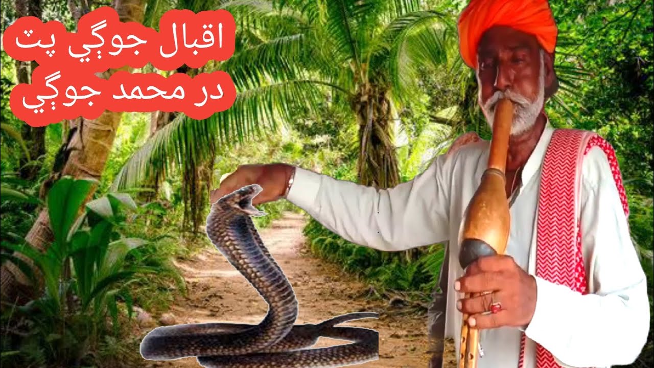 Iqbal Jogi Ka Beta Dur Muhammad jogi In Been __ Sindhi Folk Music ...