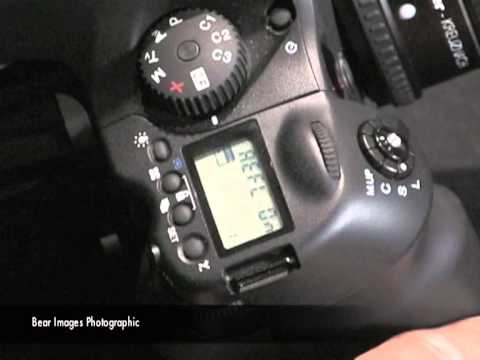 Bear Images Presents: Phase One 645DF Auto Focus