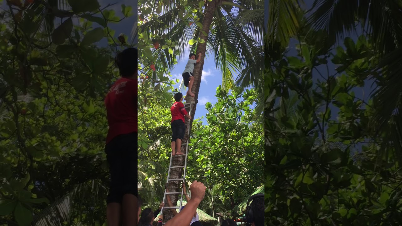 Puno ng buko (Haplos) - YouTube