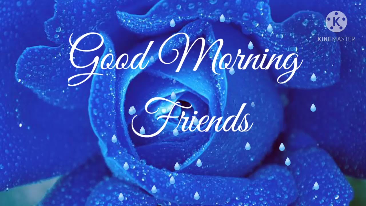 Good Morning Blue Rose