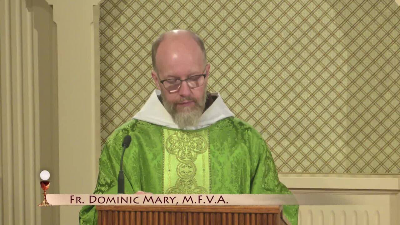 Daily Readings and Homily - 2022-10-09 - Fr. Dominic - YouTube