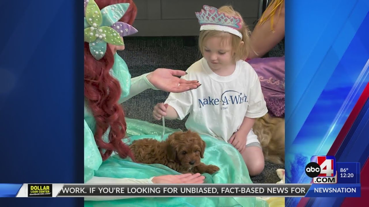 Wish Director Frank Nilson shares story of local Make-A-Wish kid - YouTube