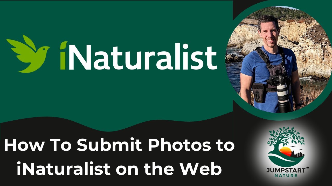 How To Upload Photos to iNaturalist On A Web Browser - YouTube