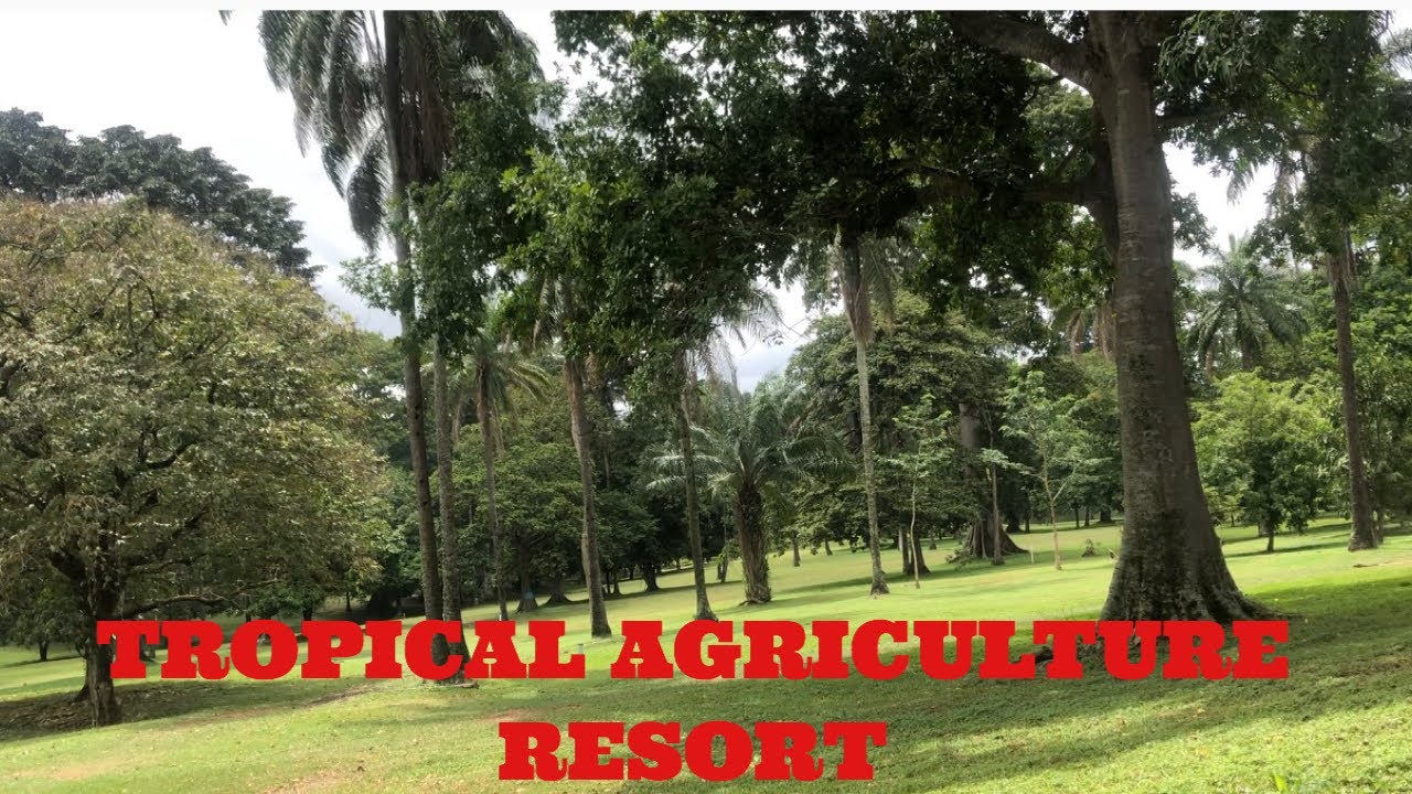 SECRET VACATION RESORT IN IBADAN.. (IITA INTERNATIONAL HOUSE) best ...
